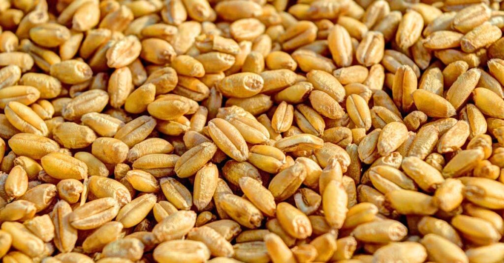 Tips To Include More Grains In Your Daily Diet